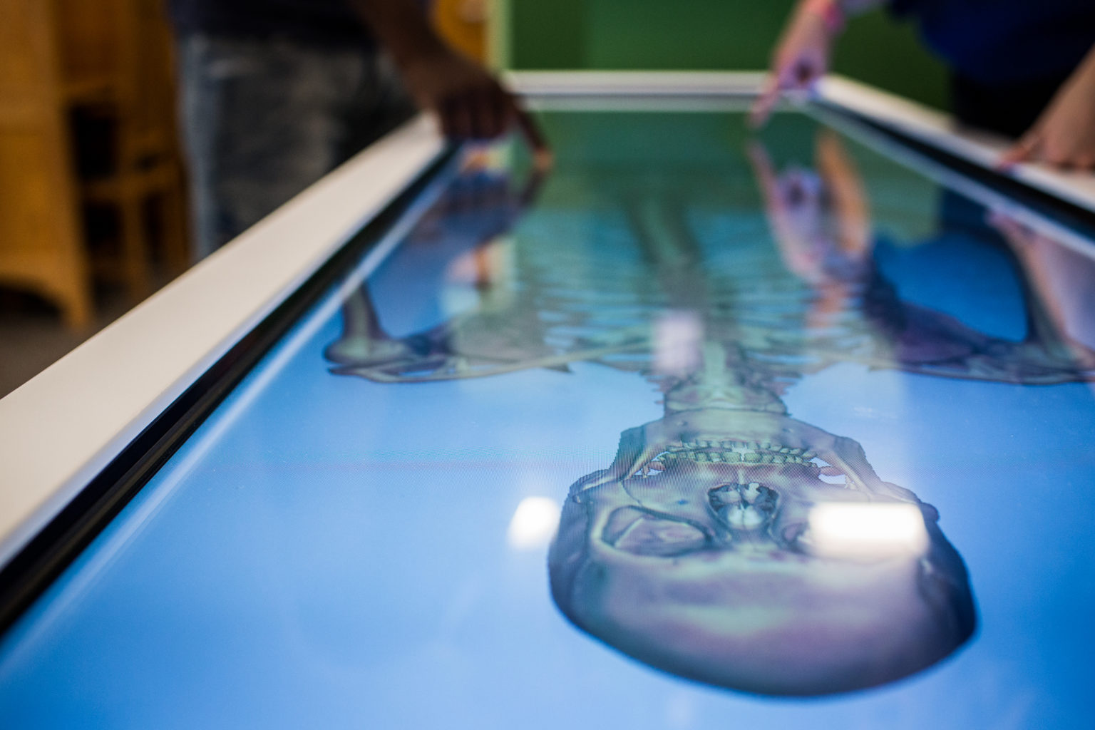 Anatomy in 3D at CMCC - CMCC