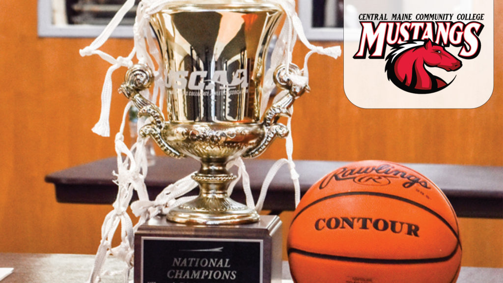 Brand Guide: Graphic Standards, Logos and Templates - CMCC