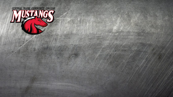 Brand Guide: Graphic Standards, Logos and Templates - CMCC