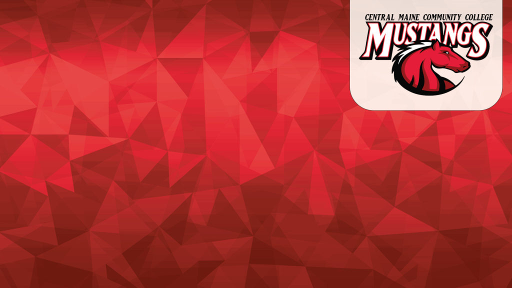 Brand Guide: Graphic Standards, Logos and Templates - CMCC