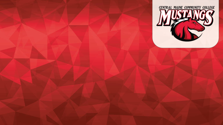 Brand Guide: Graphic Standards, Logos and Templates - CMCC