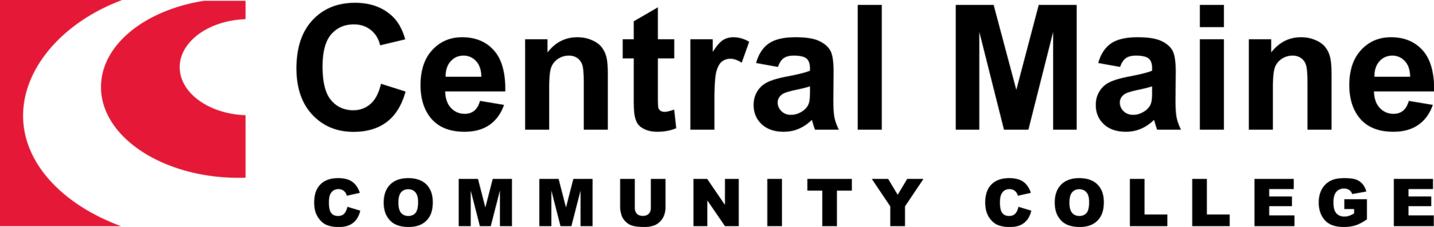 Brand Guide: Graphic Standards, Logos and Templates - CMCC