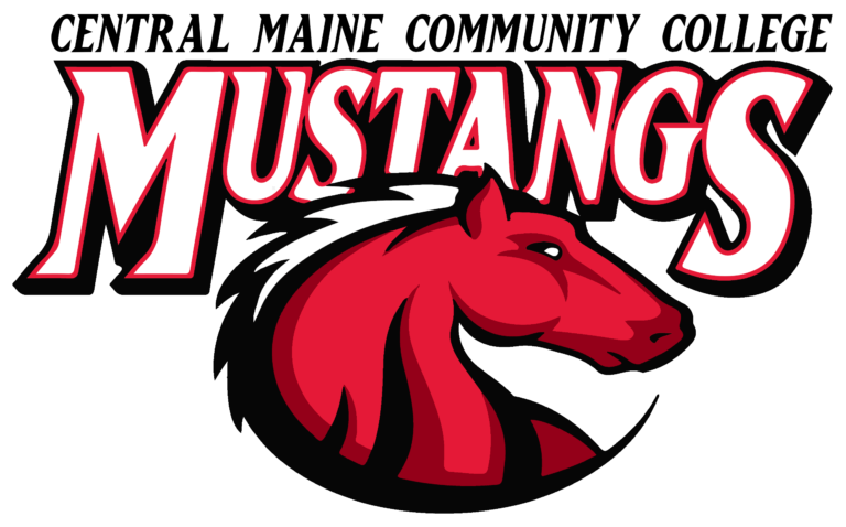 Brand Guide: Graphic Standards, Logos and Templates - CMCC