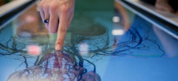 Computer Science & Information Technology - CMCC