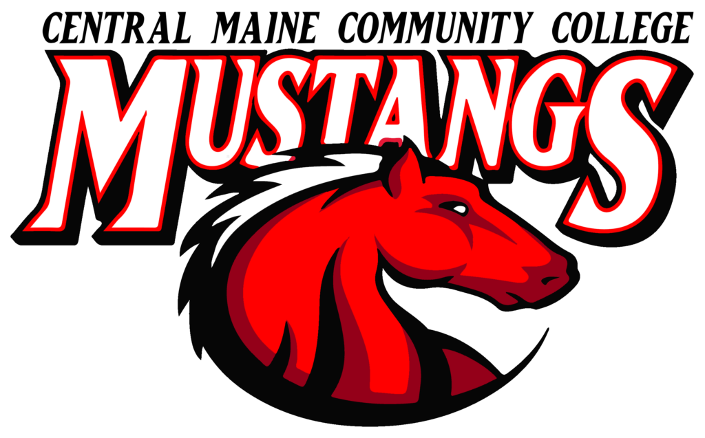 Brand Guide: Graphic Standards, Logos and Templates - CMCC